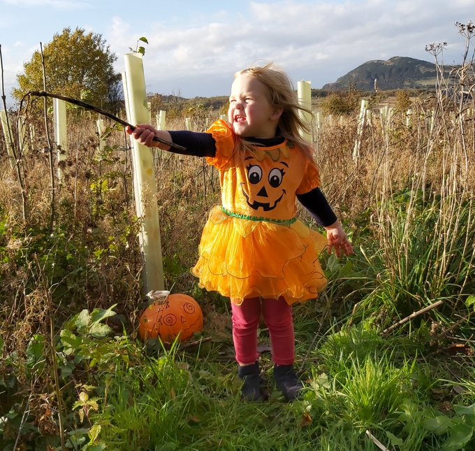Little France Park | Edinburgh & Lothians Greenspace Trust