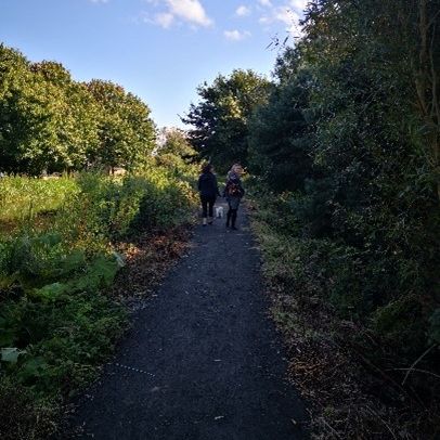 Shale Trail | Edinburgh & Lothians Greenspace Trust