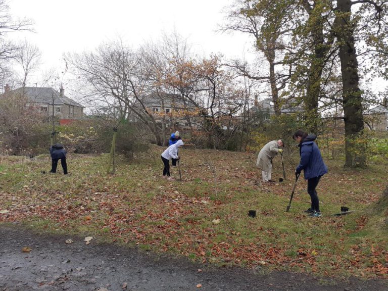 Woodland Activities | Edinburgh & Lothians Greenspace Trust