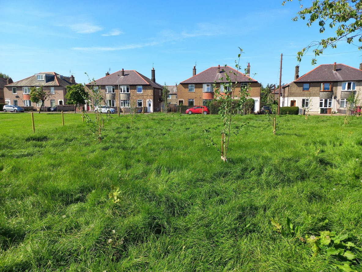 Edinburgh Million Tree City | Edinburgh & Lothians Greenspace Trust