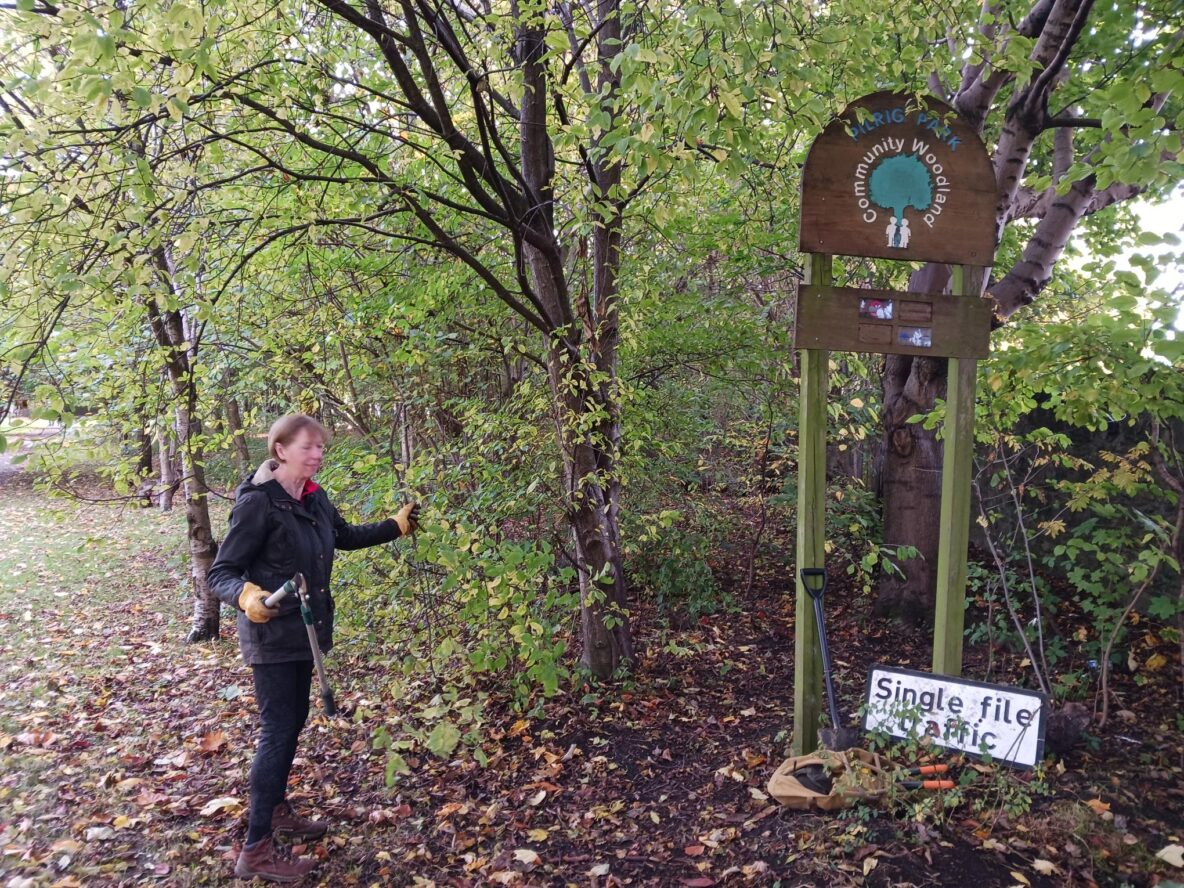 Pilrig Park Millennium Community Woodland | Edinburgh & Lothians ...